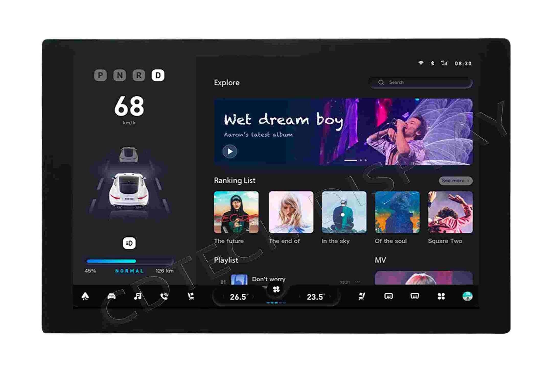 Choosing the Right Automobile Display